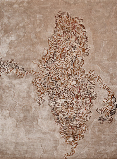 Fine Amazon B carpets for your living room in Delhi, India