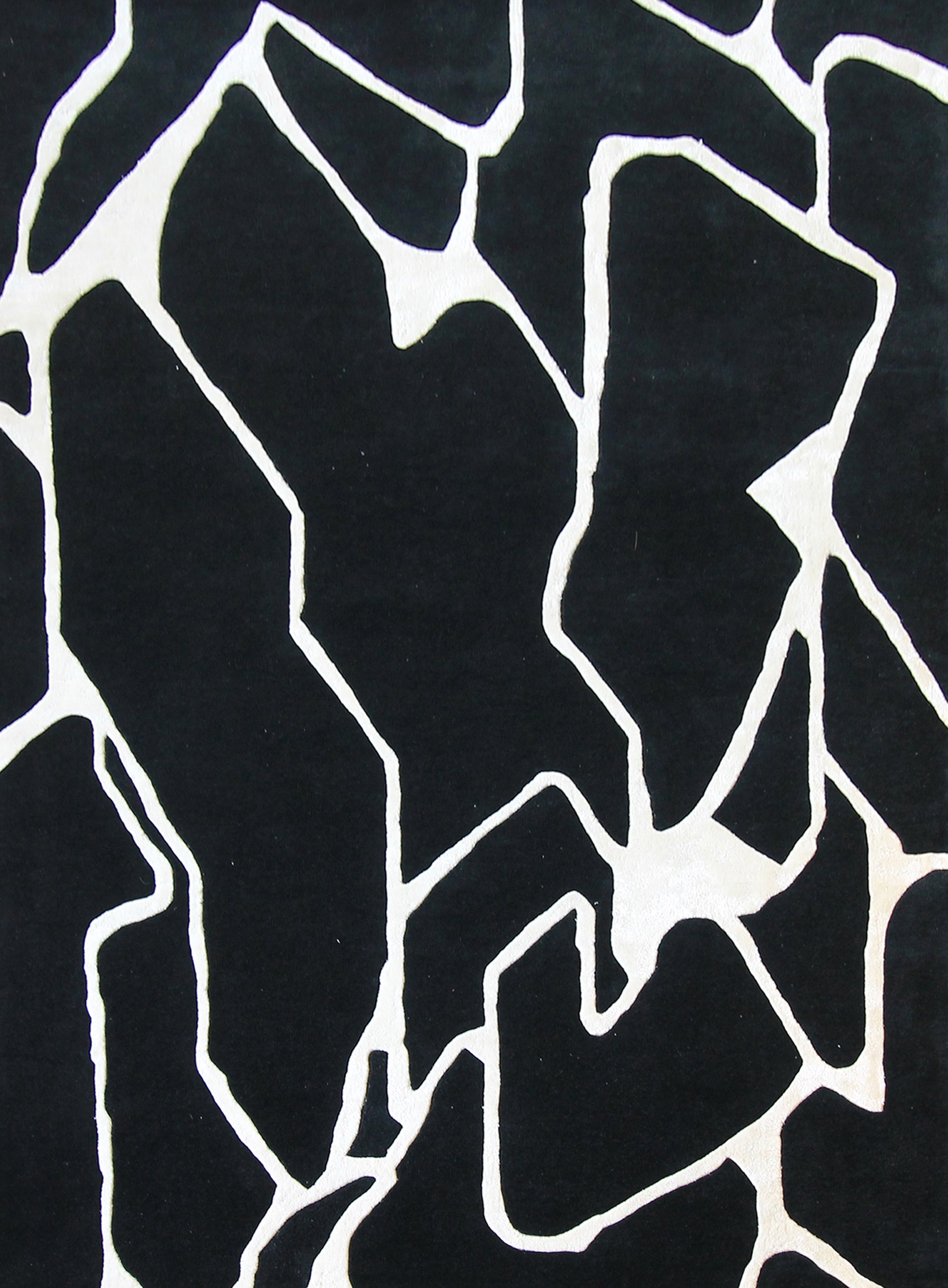 Classic Ebony Ivory Marble