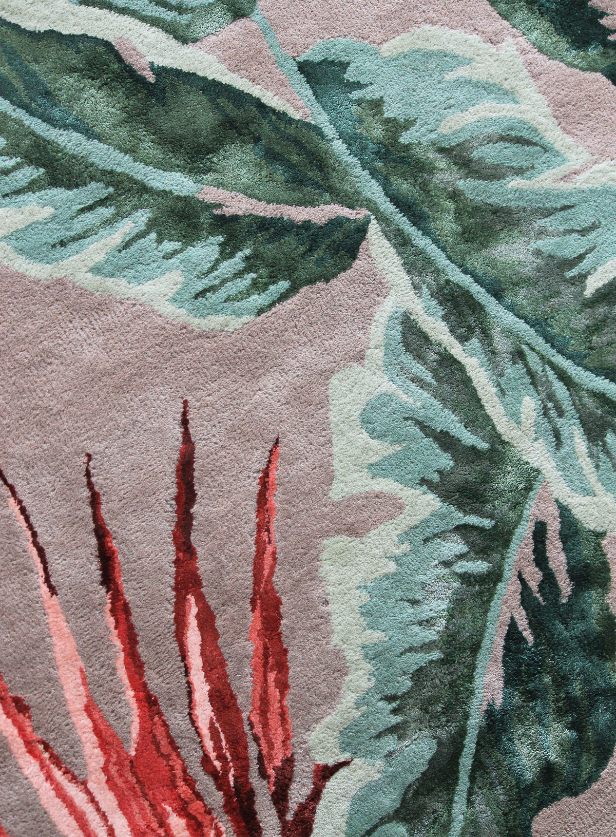 Buy Classic Tropical Multi Carpet Online In India | Carpet Couture